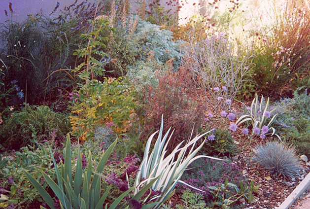Terra Flora Garden Design in Santa Fe, New Mexico
